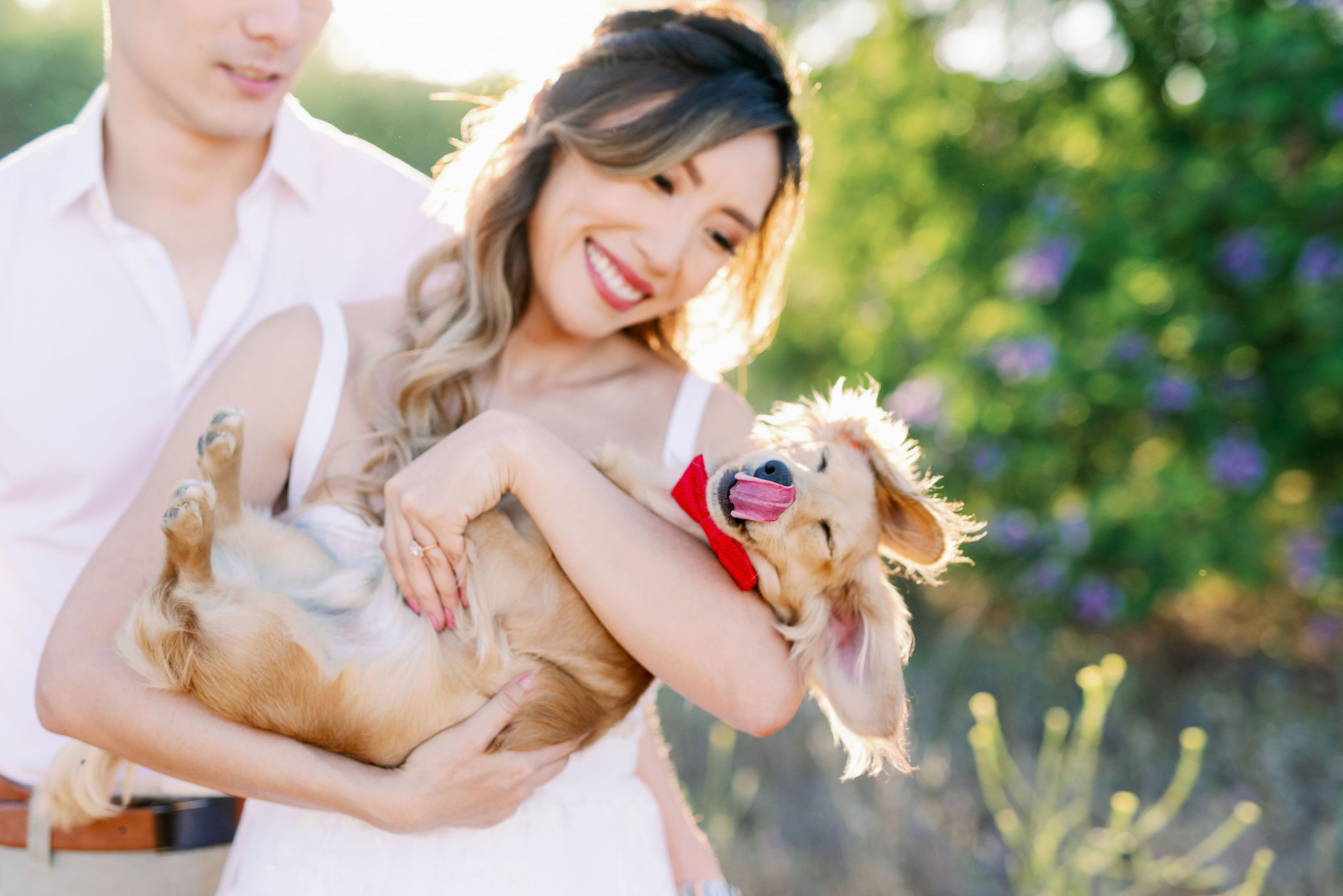 5 Tips for Including Your Pet in Your Engagement Photos! - daniraedunn.com