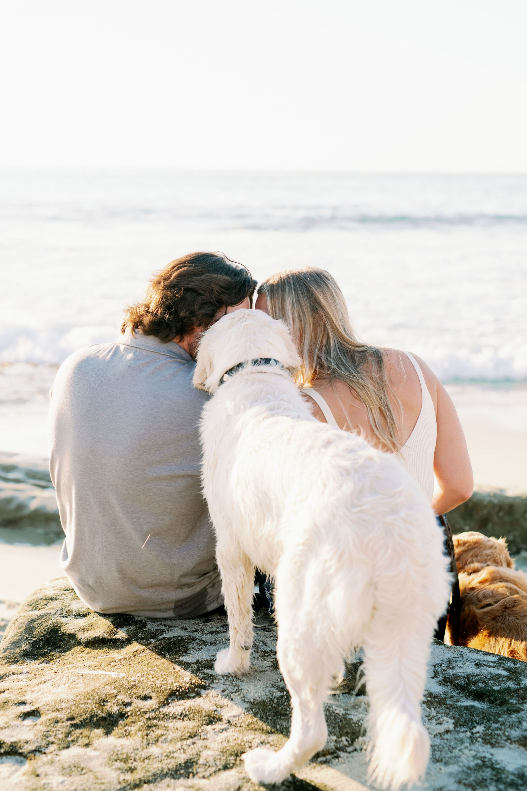 5 Tips for Including Your Pet in Your Engagement Photos! - daniraedunn.com