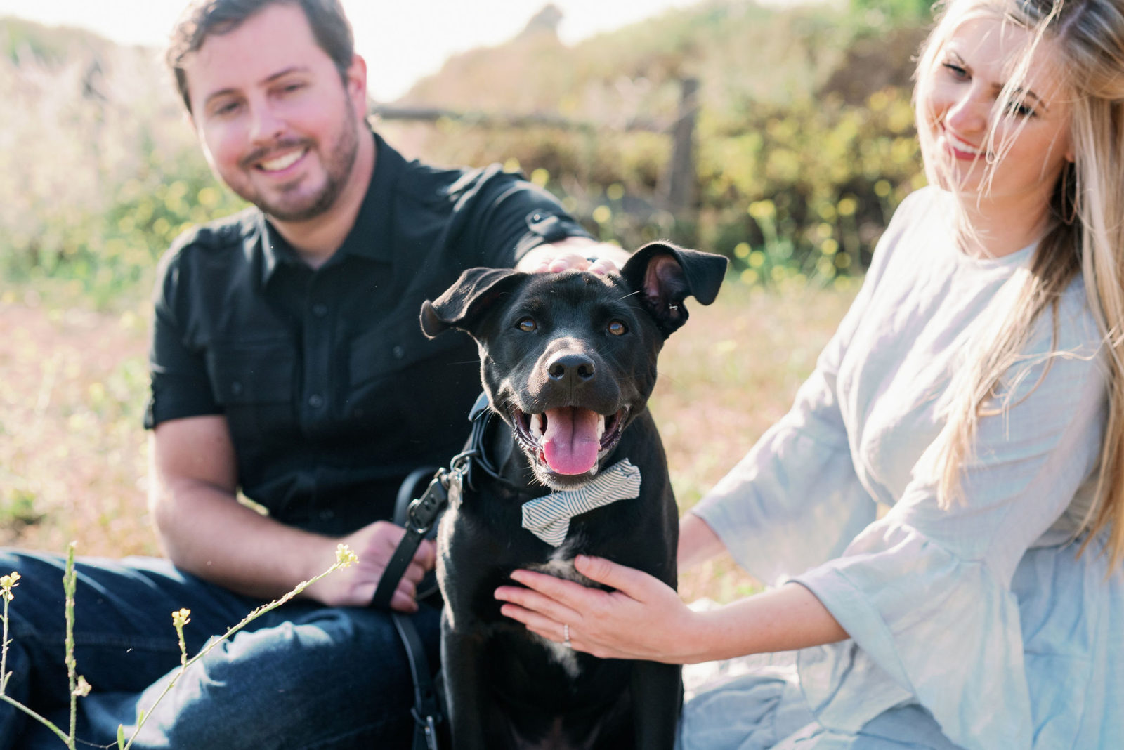 5 Tips for Including Your Pet in Your Engagement Photos! - daniraedunn.com
